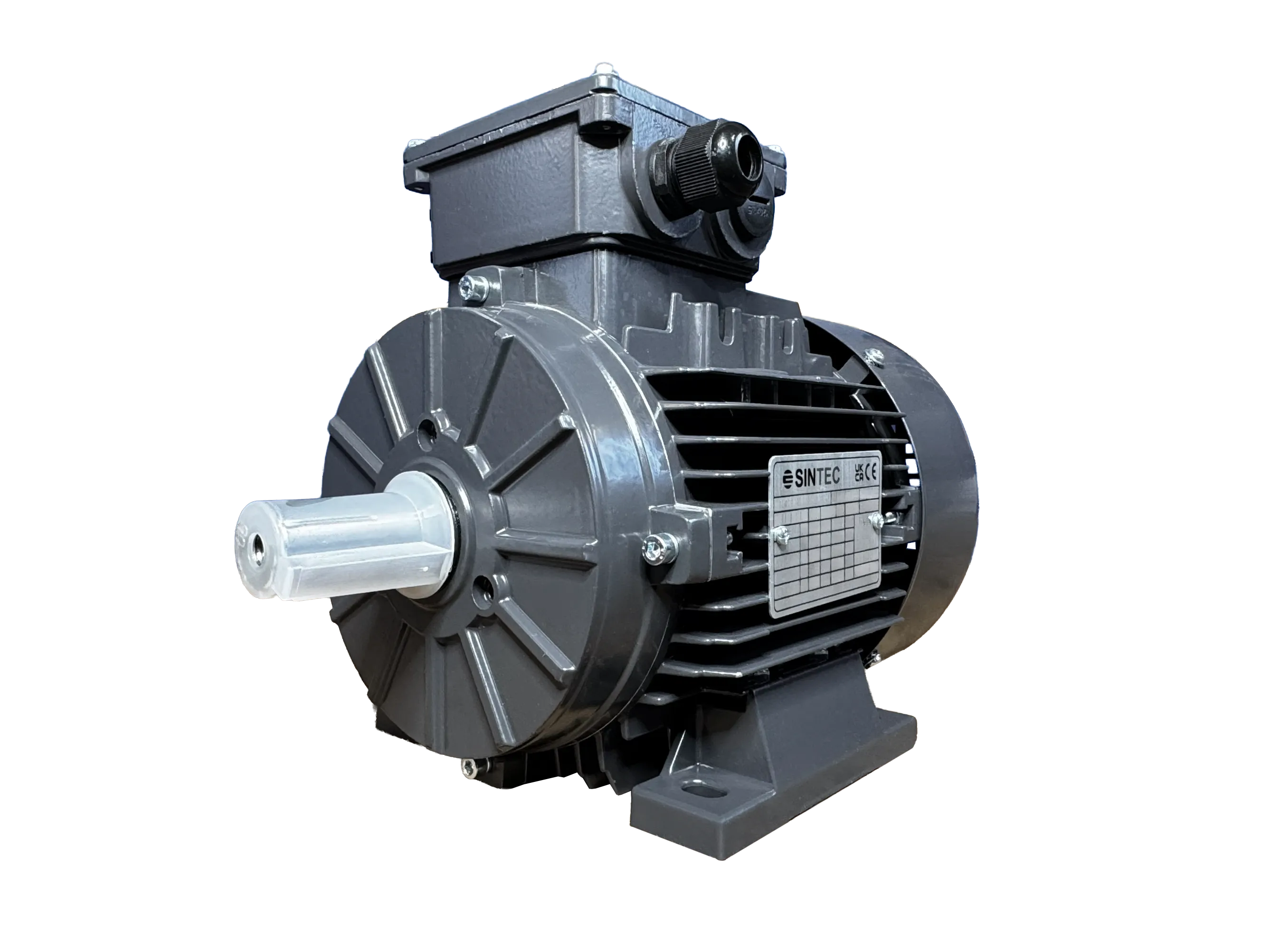 Sintec Elektromotor Typ A3-100L2-24 | Profitlich Elektromotoren ...